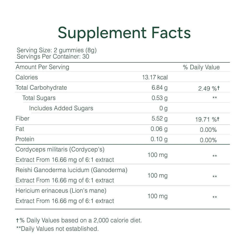 ROOT LABS magnesium for muscle recovery