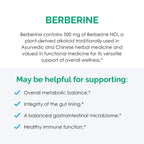 Rootcology Berberine HCl for digestive balance
