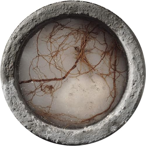 RootX herbal supplements for effective root control