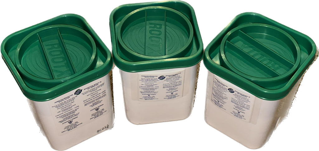 RootX herbal supplements for root intrusion