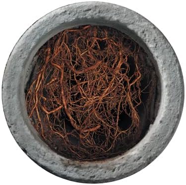 RootX herbal supplements for yard maintenance