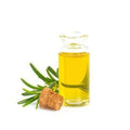 rosemary extract antioxidant for health