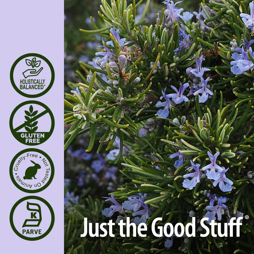 rosemary extract for digestive support