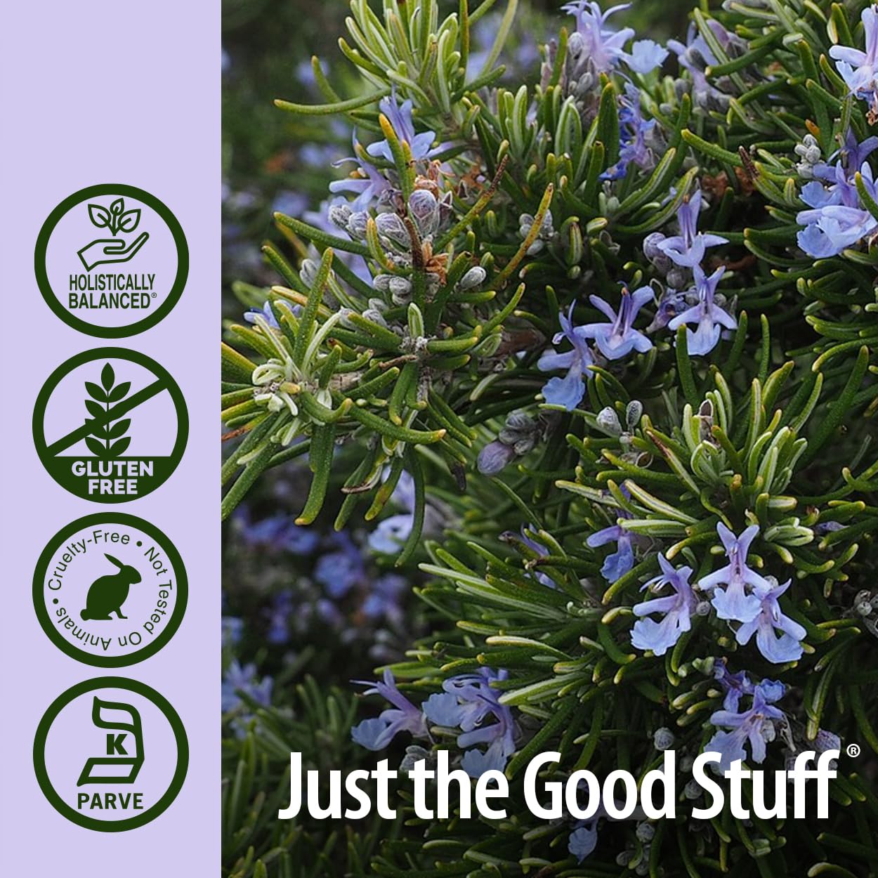 rosemary extract for digestive support