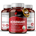 Rosemary extract supplement for wellness