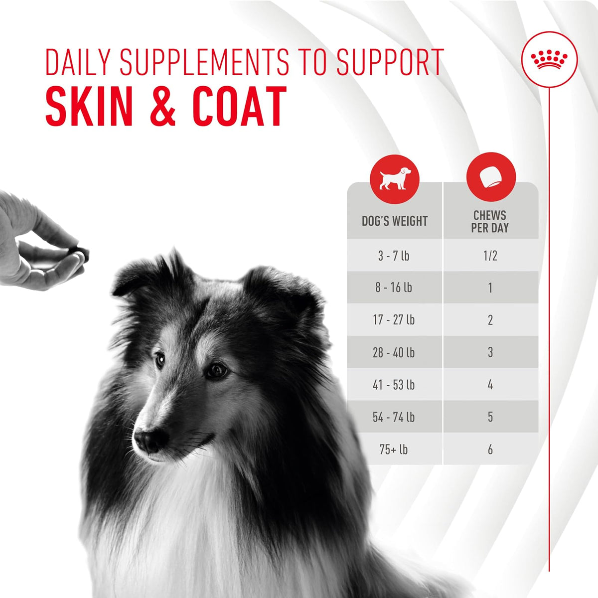 Royal Canin dog health supplements