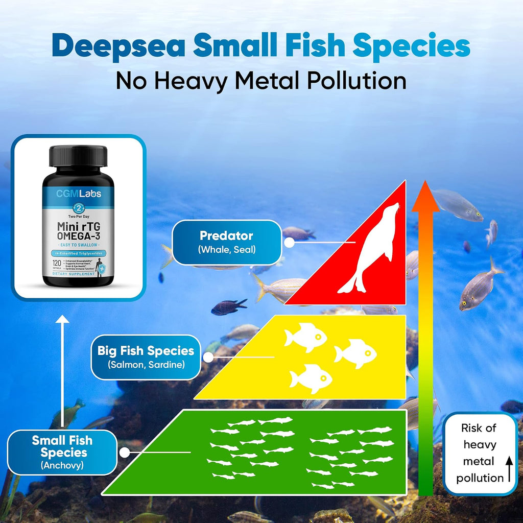 rTG fish oil for brain support