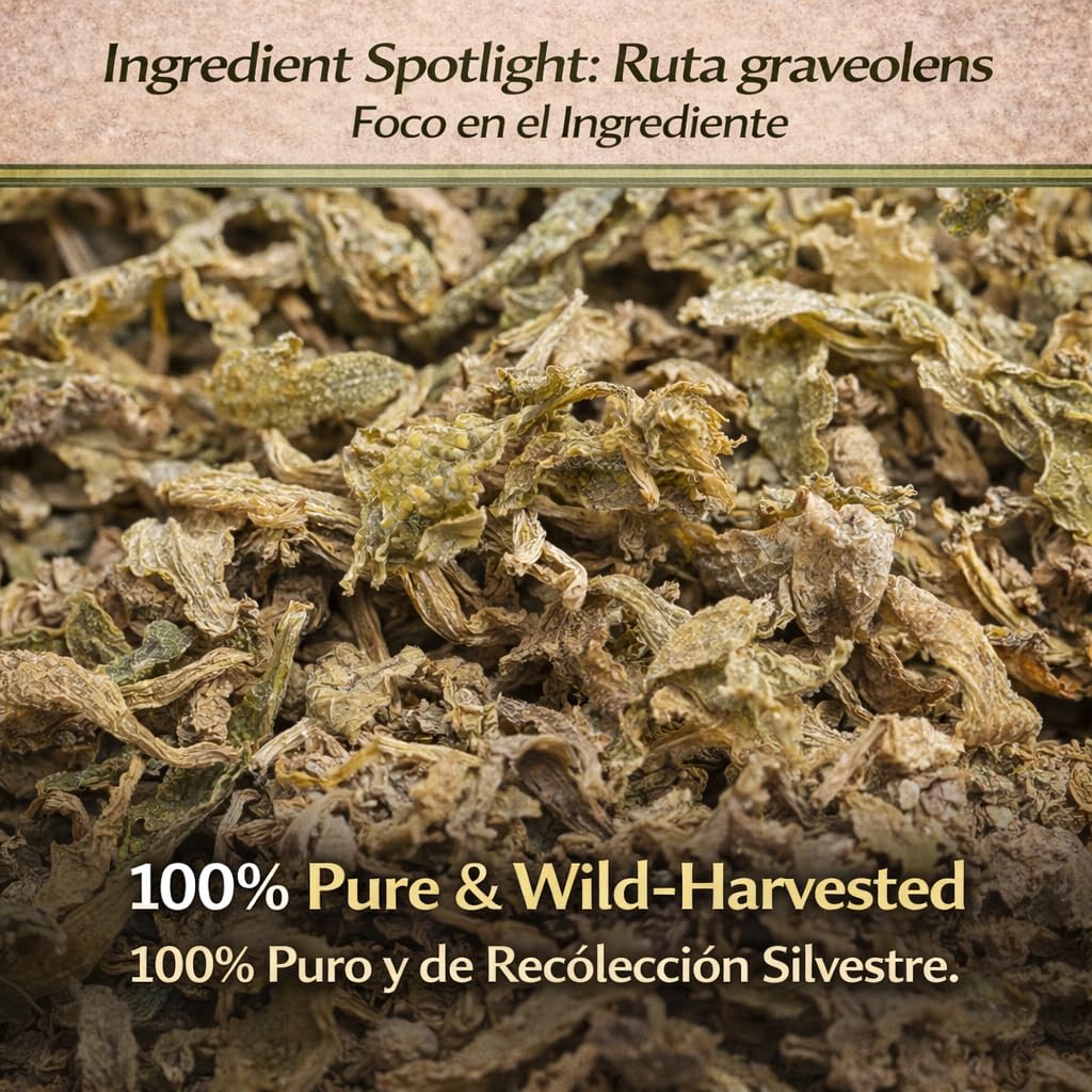 Ruda Seca tea for calming effects