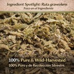 Ruda Seca tea for calming effects