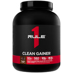 Rule 1 Proteins chocolate fudge gainer