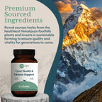 ruved LivTone herbal liver support
