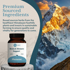 ruved Memoren 60 servings bottle