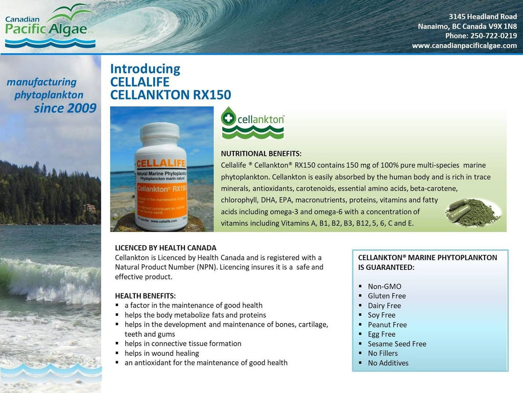 RX phytoplankton nutritional support