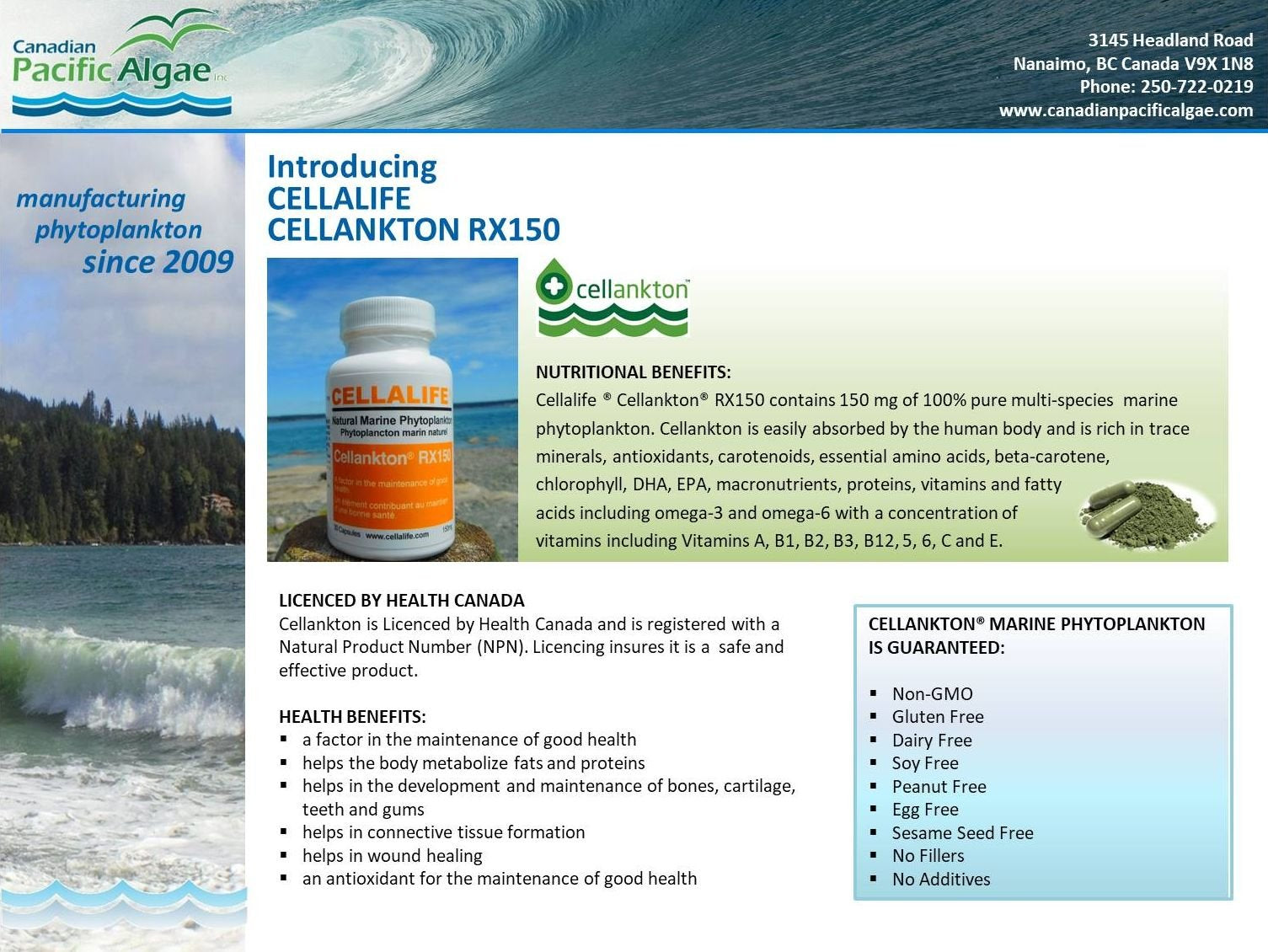 RX phytoplankton nutritional support