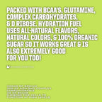 Ryno Power sports nutrition supplement