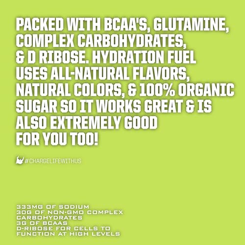 Ryno Power sports nutrition supplement