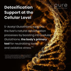 S-Acetyl Glutathione immune support supplement
