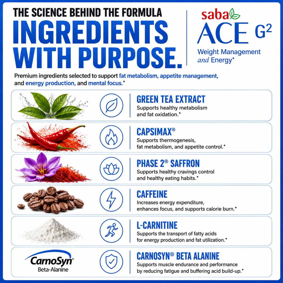Saba ACE G2 fat burners with 60 capsules
