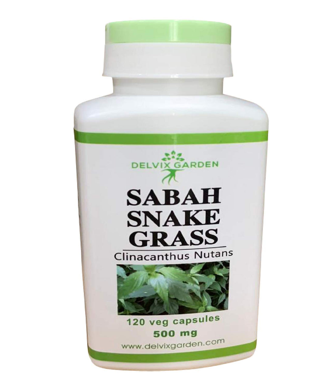 Sabah Snake Grass wellness supplement
