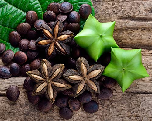 sacha inchi powder for plant-based diets