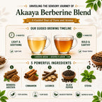 Sachets of Berberine herbal tea
