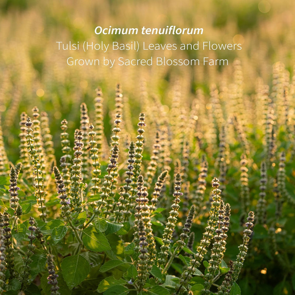 Sacred Blossom Farm herbal tea blend