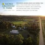 Sacred Blossom Farm organic tea experience