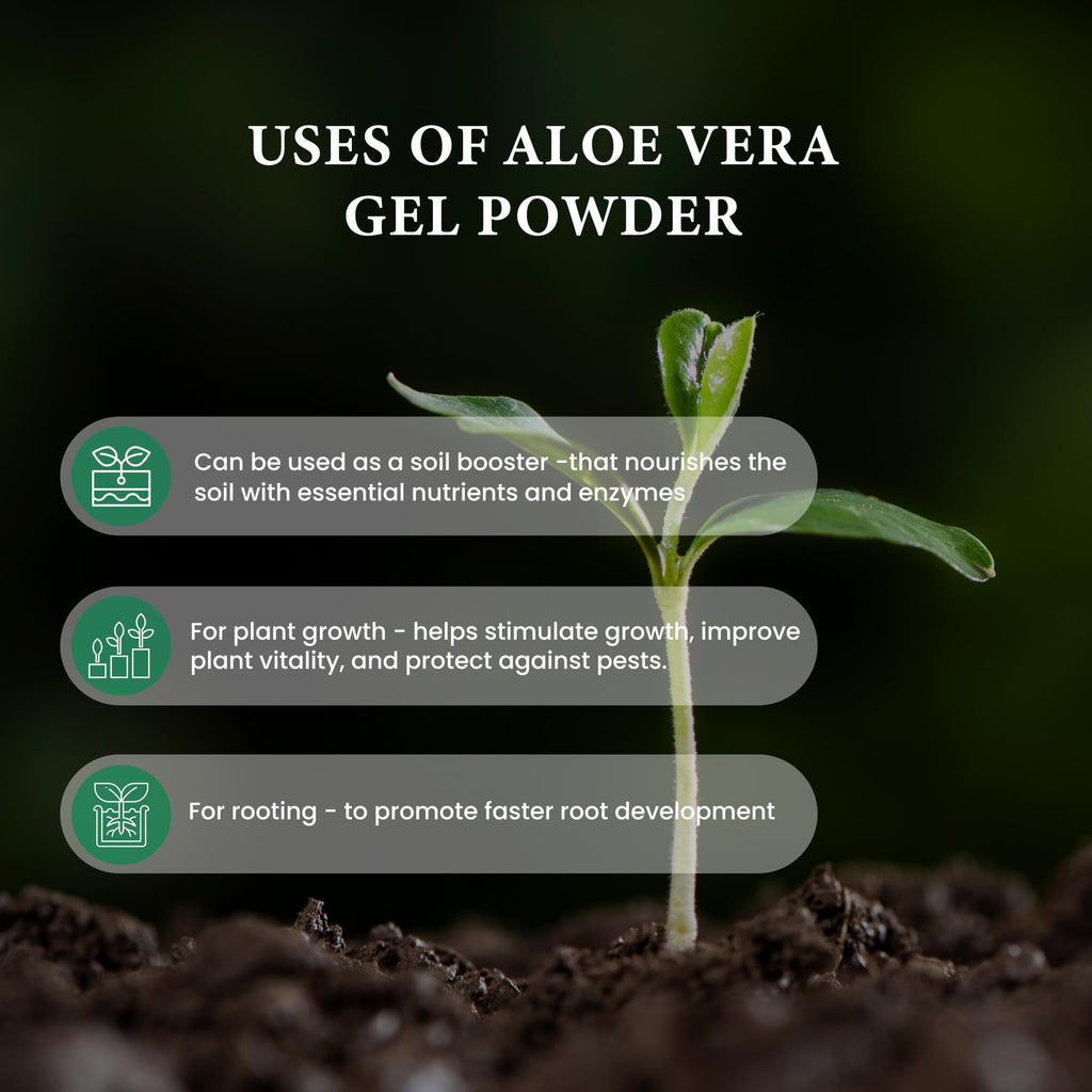 safe aloe vera for pets and plants