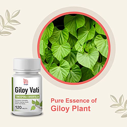 safe blended vitamin supplements Canada