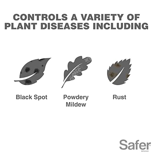safe neem solution for plants