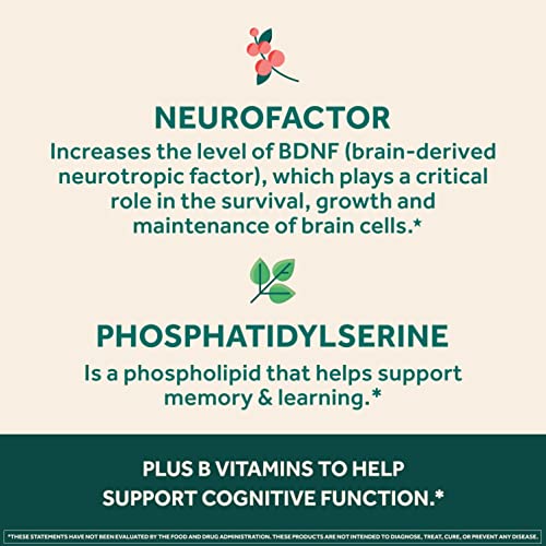safe nootropic supplements for mental clarity
