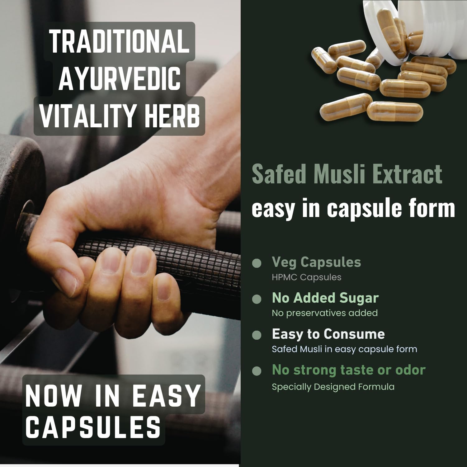 safed musli for enhanced wellness
