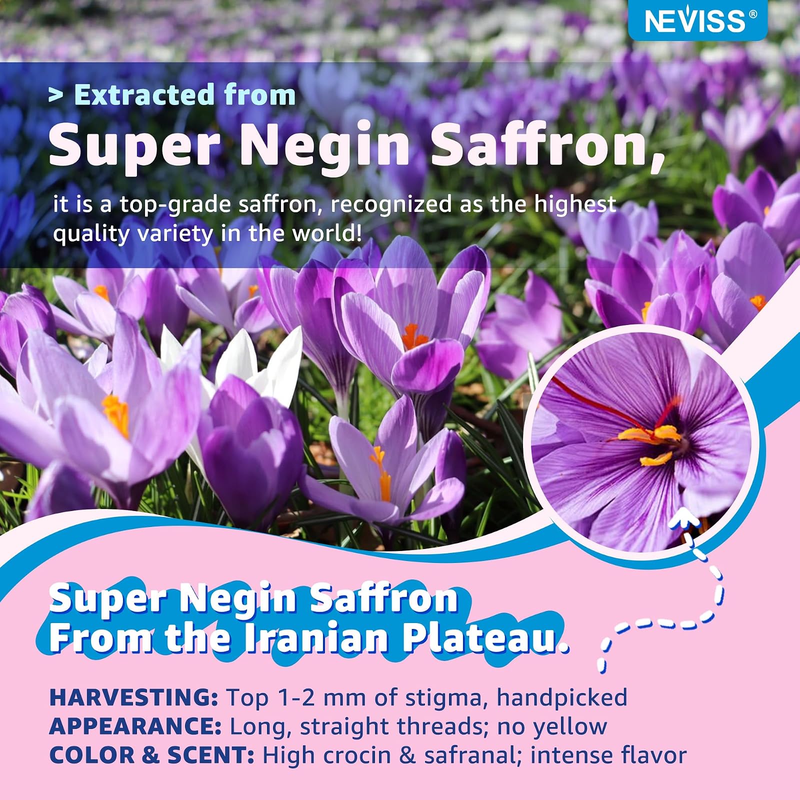 Saffron gummies with omega-3 benefits