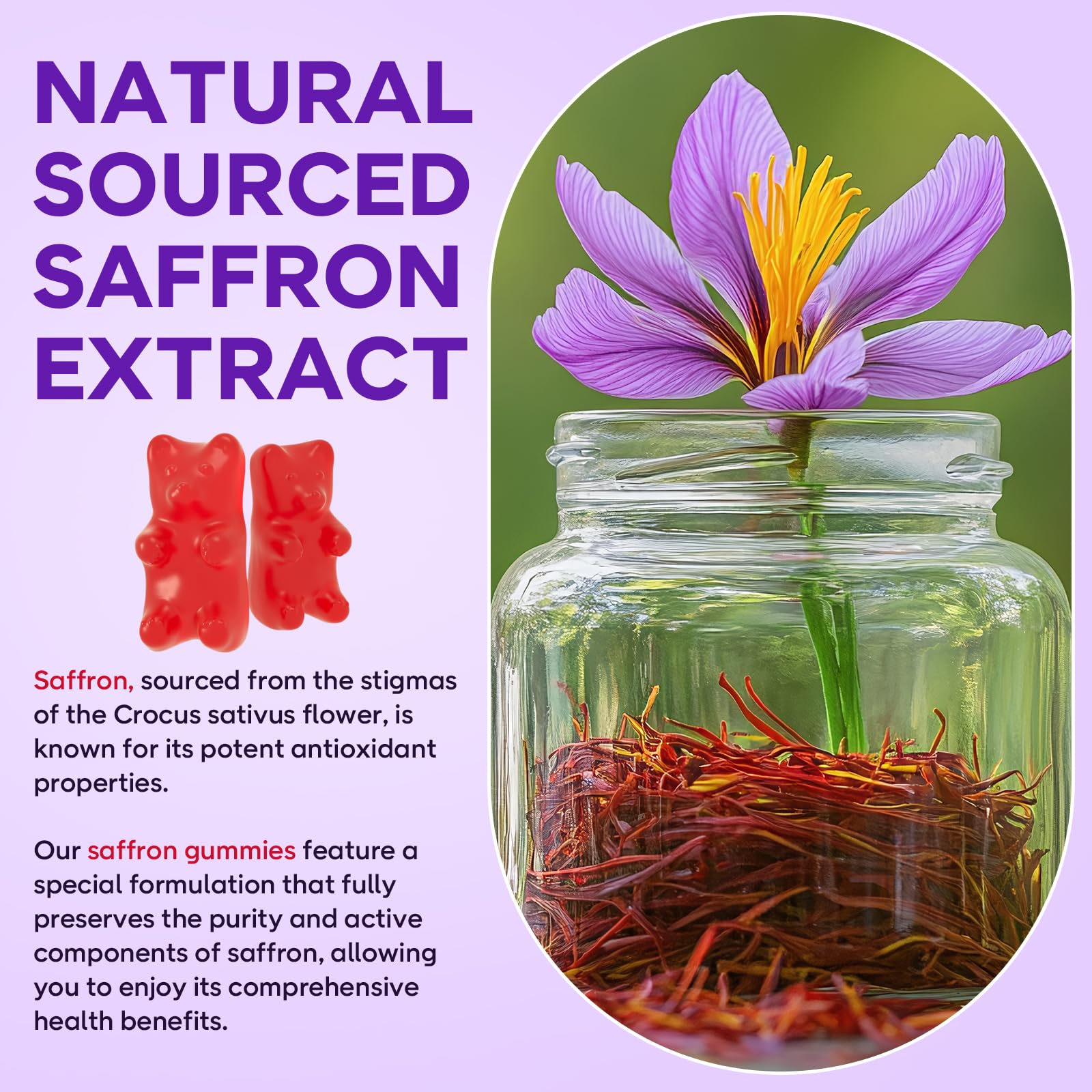 Saffron multivitamins for seniors wellness