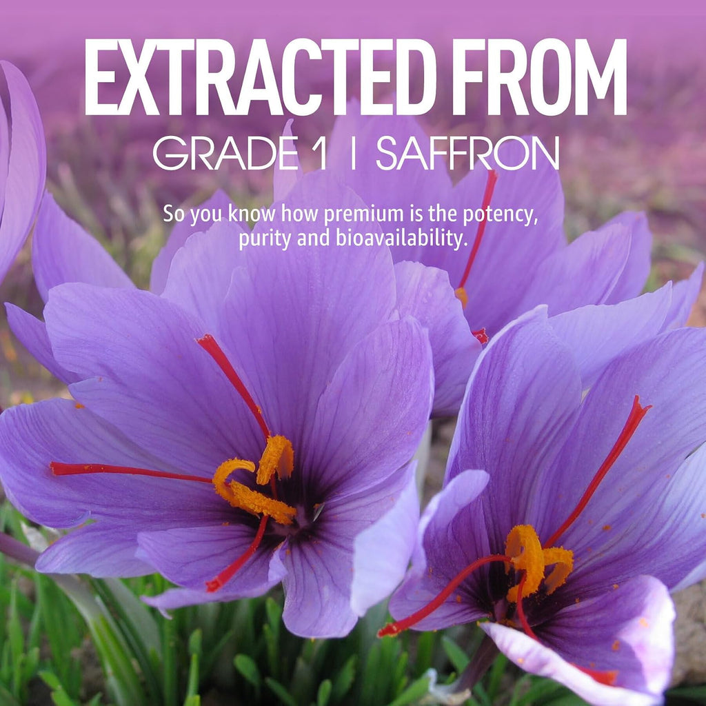 Saffron supplements for daily wellness