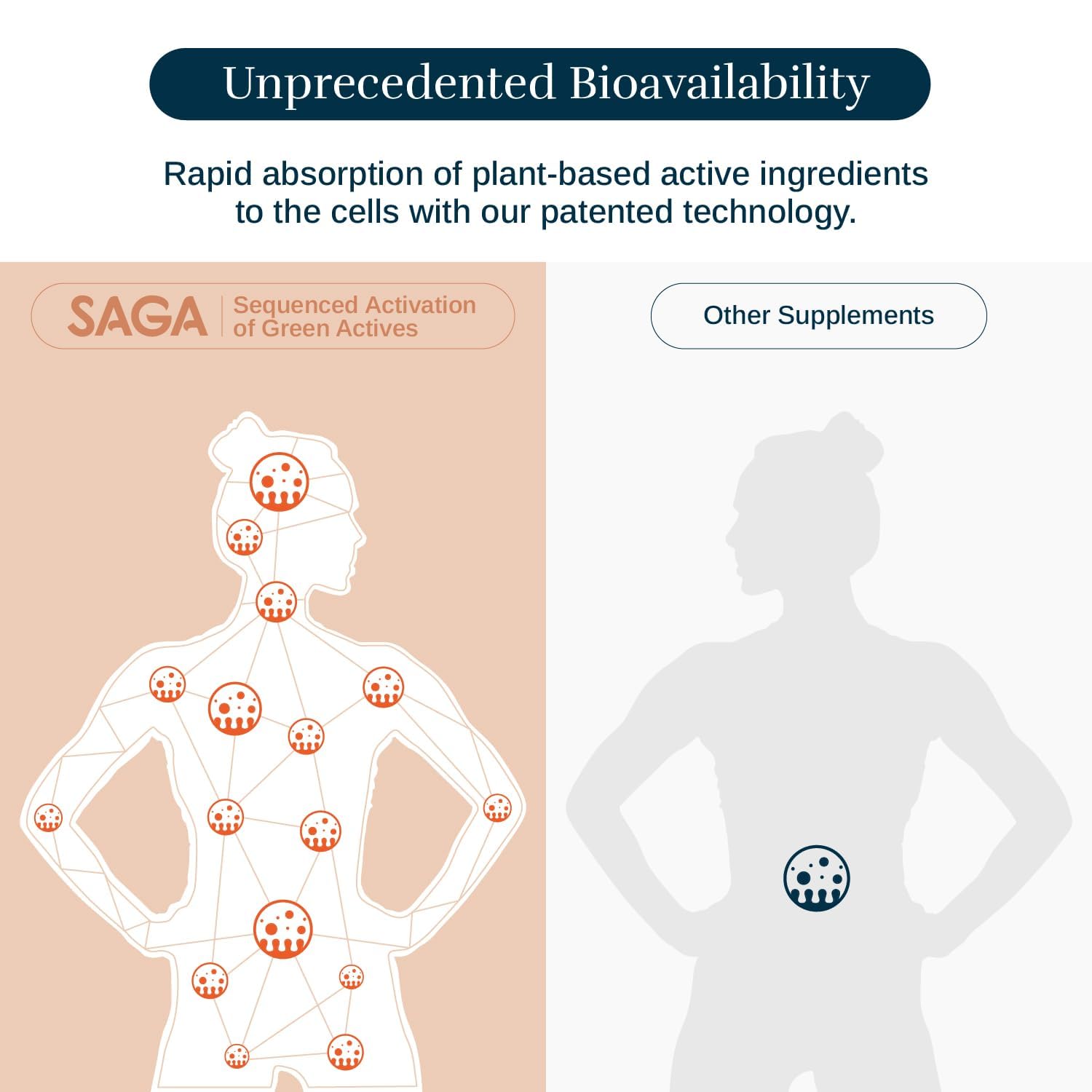 SAGA mushrooms for daily wellness