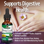 Sage Leaf benefits for wellness