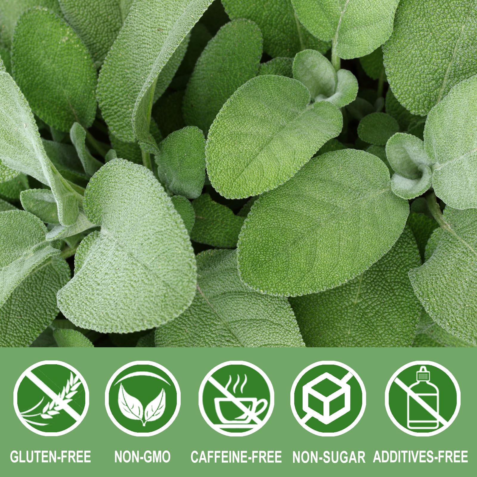 Sage tea bags for soothing benefits