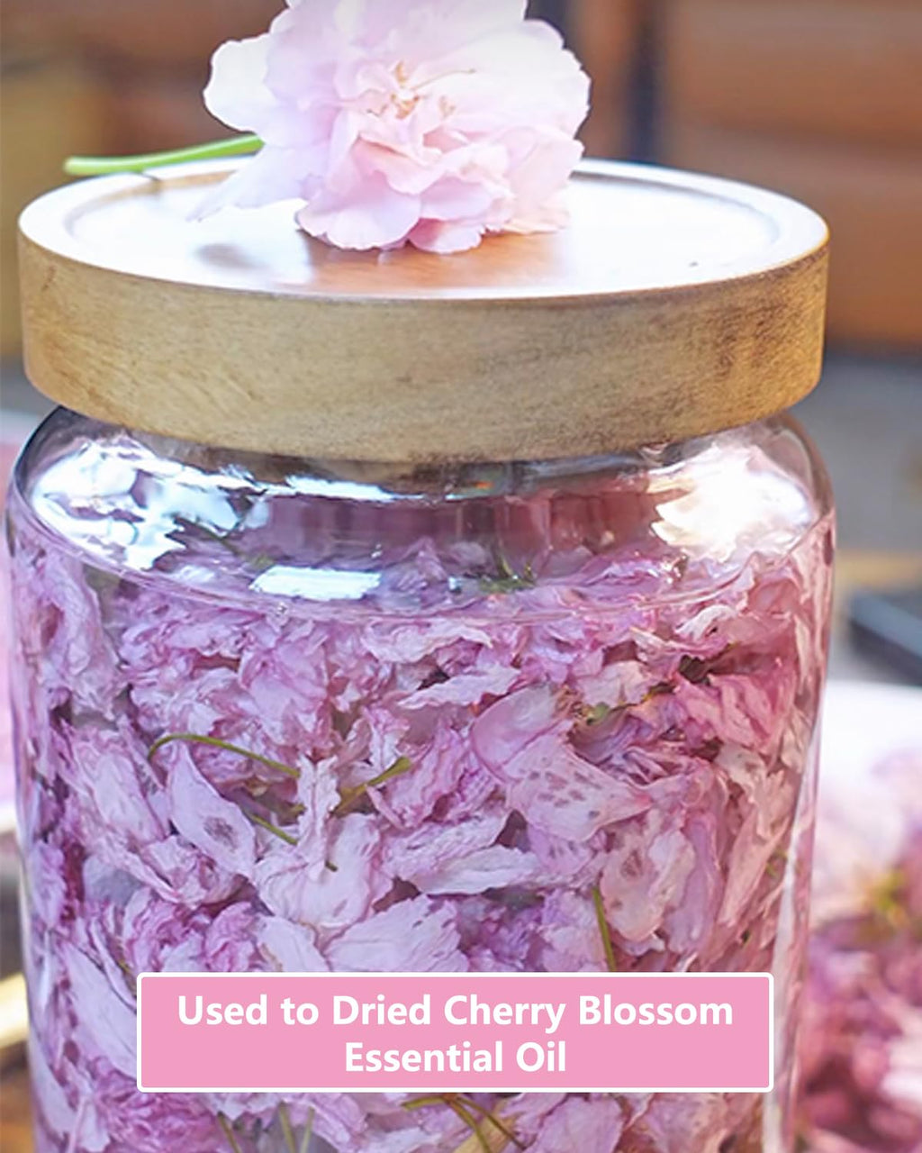 sakura blossoms for floral flavouring