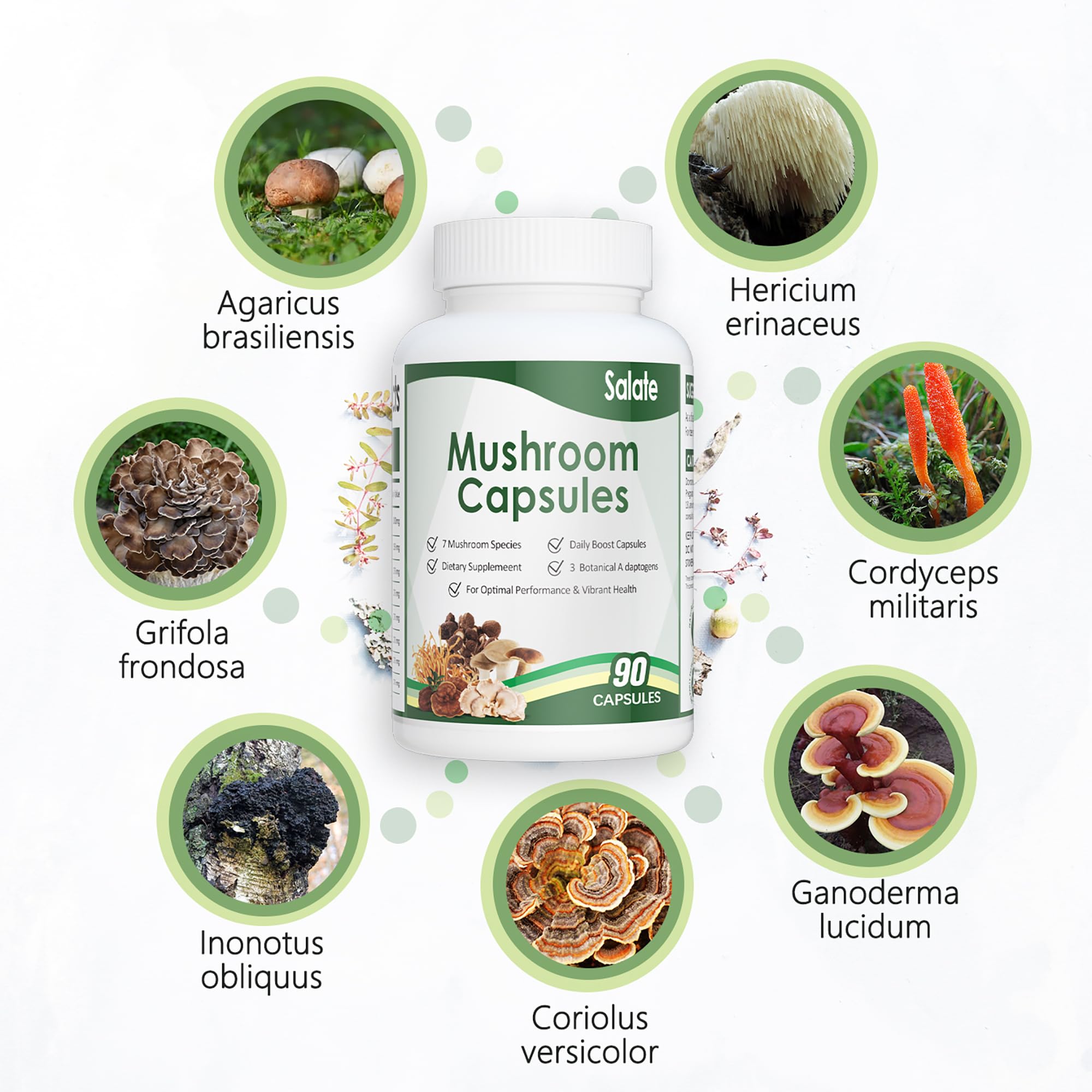 Salate Lion's Mane for daily vitality