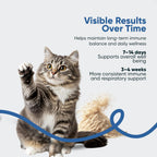 Salmon flavour L-Lysine supplement for cats
