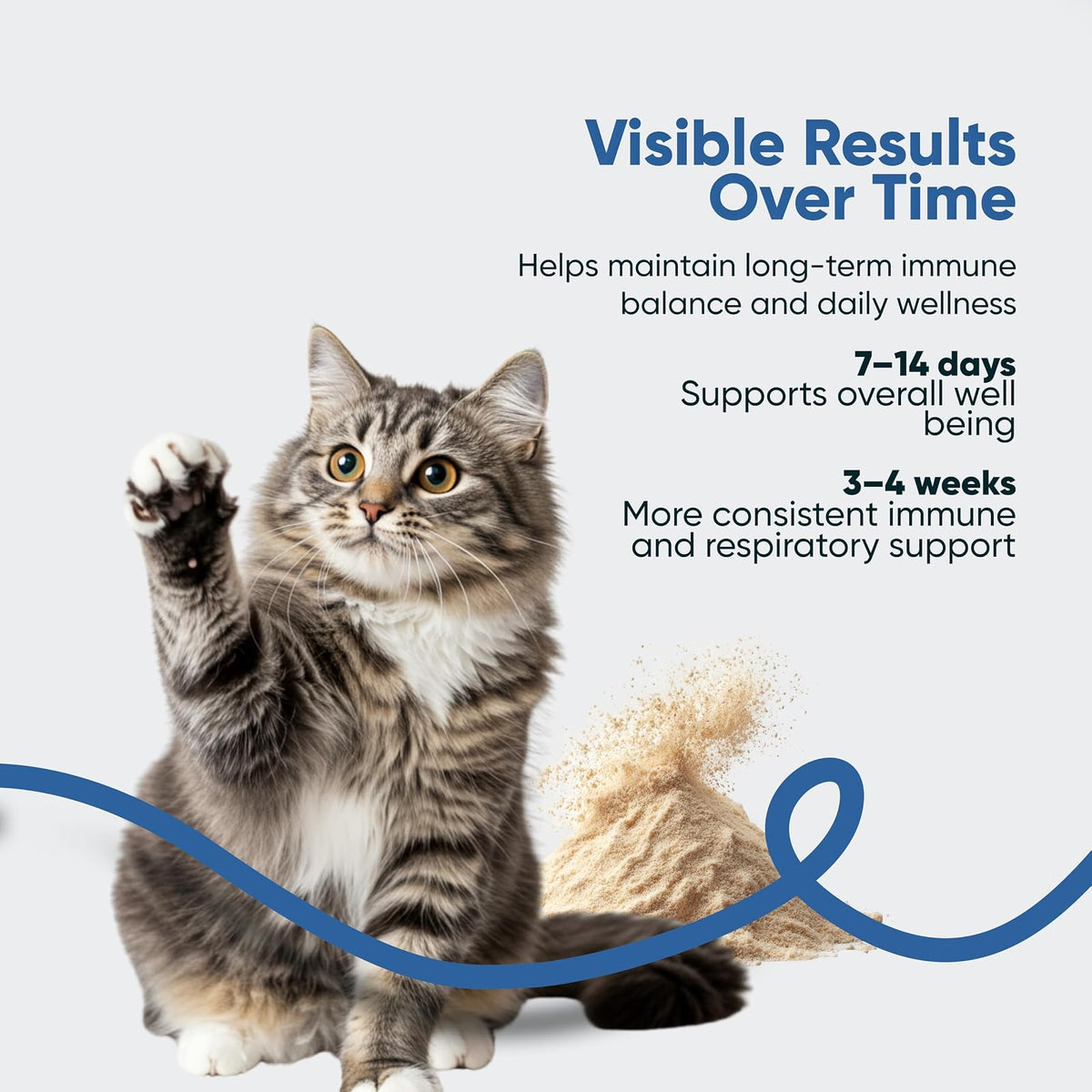 Salmon flavour L-Lysine supplement for cats