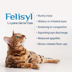 Salmon flavour L-Lysine supplement