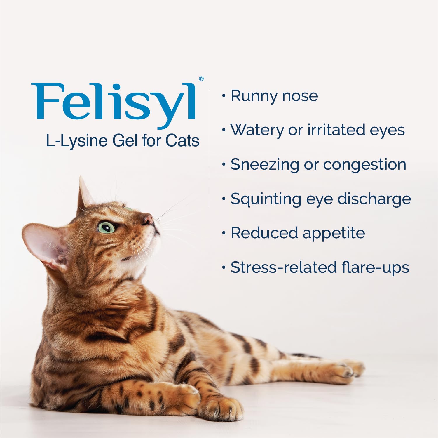 Salmon flavour L-Lysine supplement