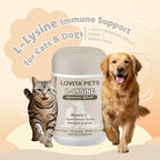 Salmon flavour L-Lysine supplement