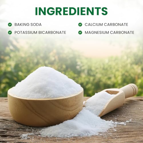 Salts PHOUR for optimal bone strength
