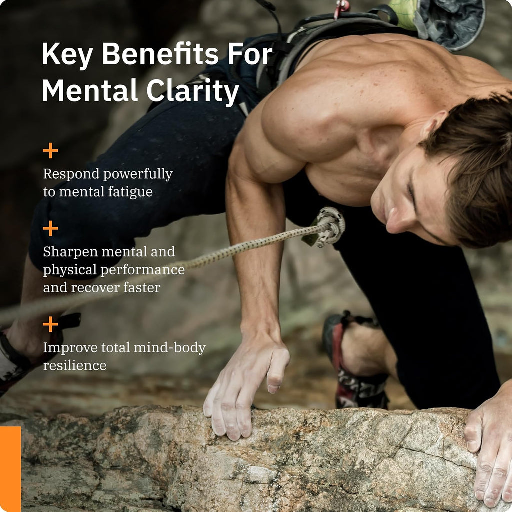 SaltWrap Adaptogen Greens for cognitive support