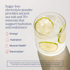 salty citrus flavour electrolyte powder