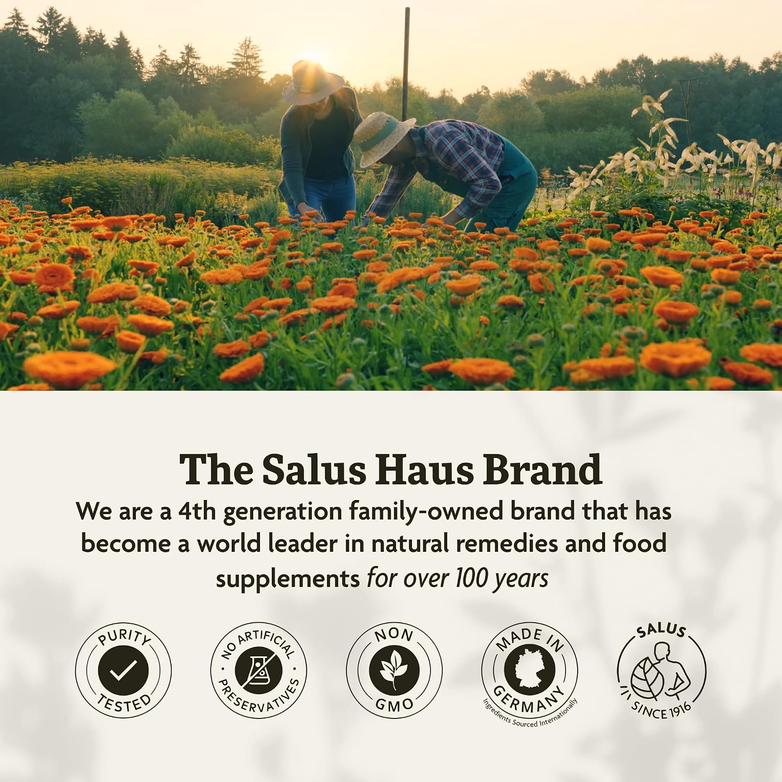 Salus beet crystals for athletic performance