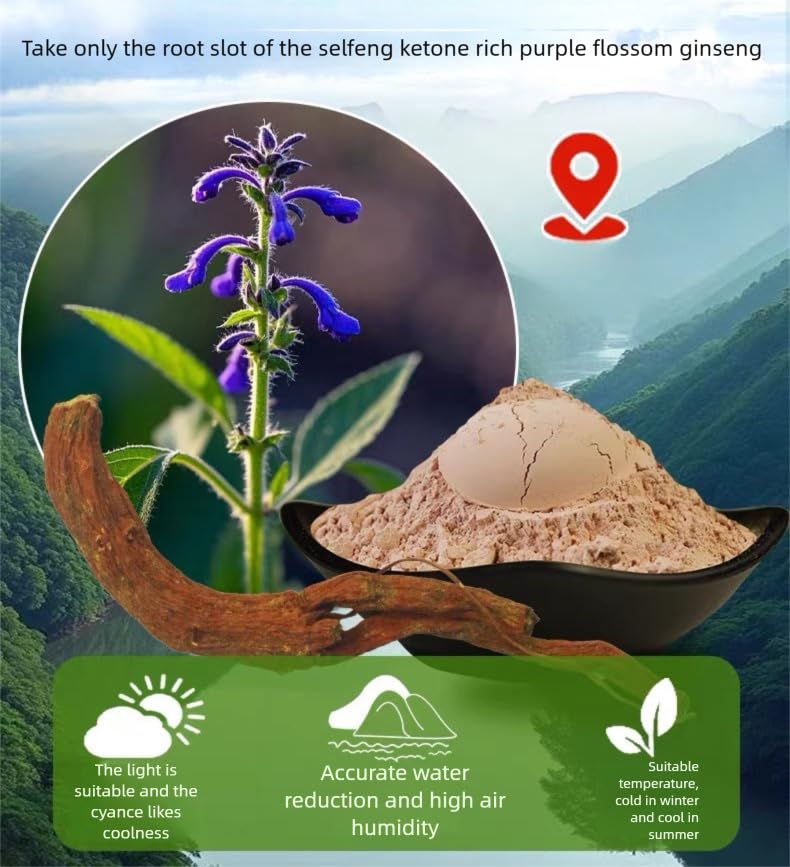 Salvia Miltiorrhiza benefits for health